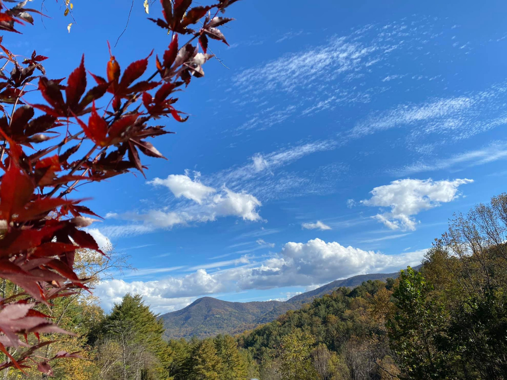 Studio 12 – Sarah Muse